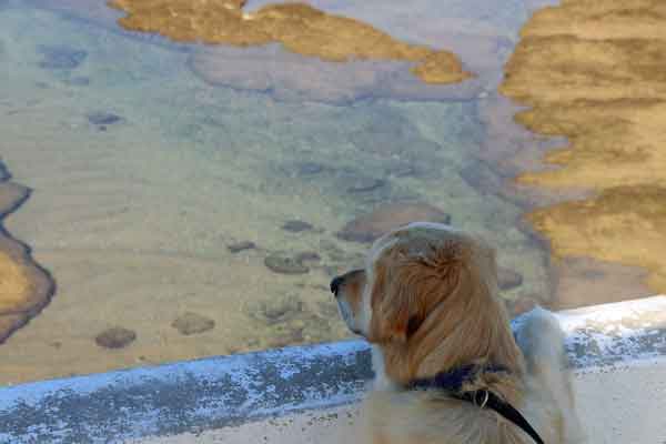 Inspiring Tips To Fuel Your bucket list - Leave Work To Travel